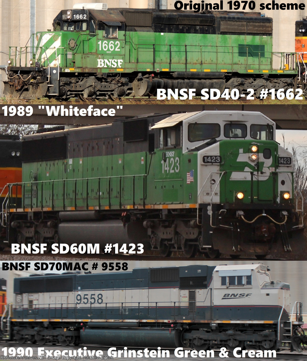 Surving BN Paint Schemes